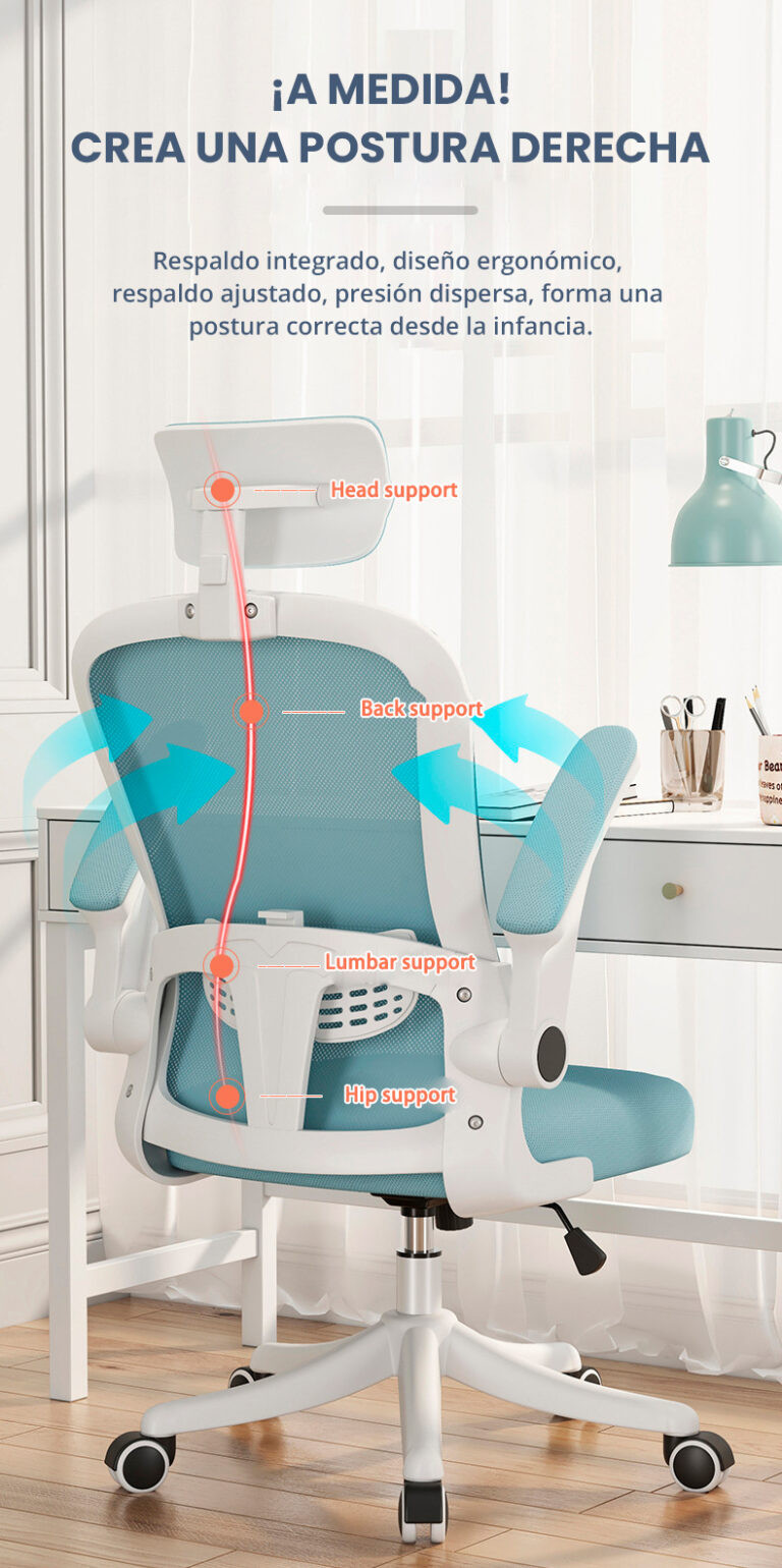 Silla de Oficina Evox CT256 Ergonómica con Respaldo Ajustable | Jota Store