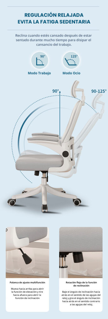 Silla de Oficina Evox CT256 Ergonómica con Respaldo Ajustable | Jota Store